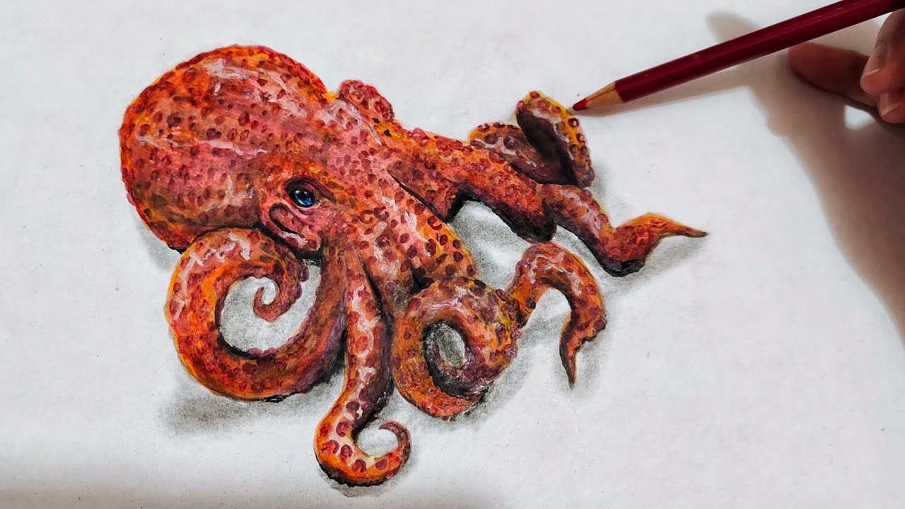 DRAWING AN OCTOPUS 3D DRAWING PROCESS - YouTube