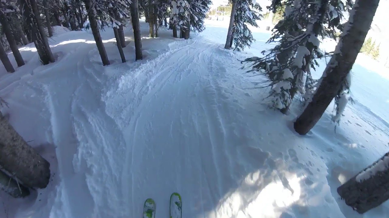 Skiing Trees in Vail, CO - YouTube