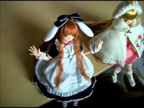many new Azone dolls ^-^