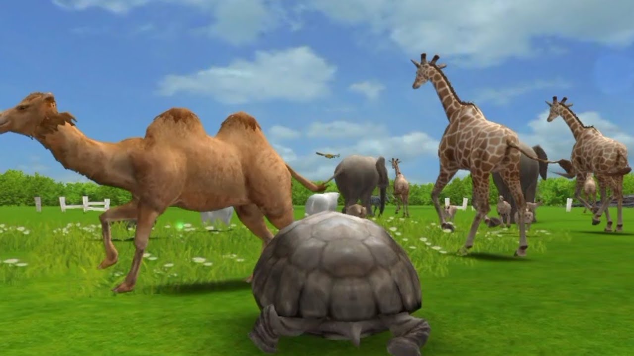Animals jangli हाती🦣 ज़राब 🦒 टाइगर🐯 उठ gorila🦍 पंडा 🐼 जबरा 🦓 parrot🦜 ...