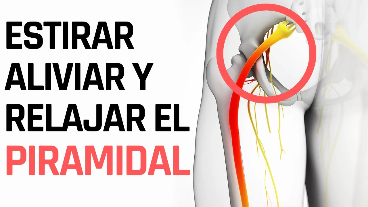 Cómo Aliviar el Dolor del Músculo Piramidal y Ciática: Estiramientos y ...