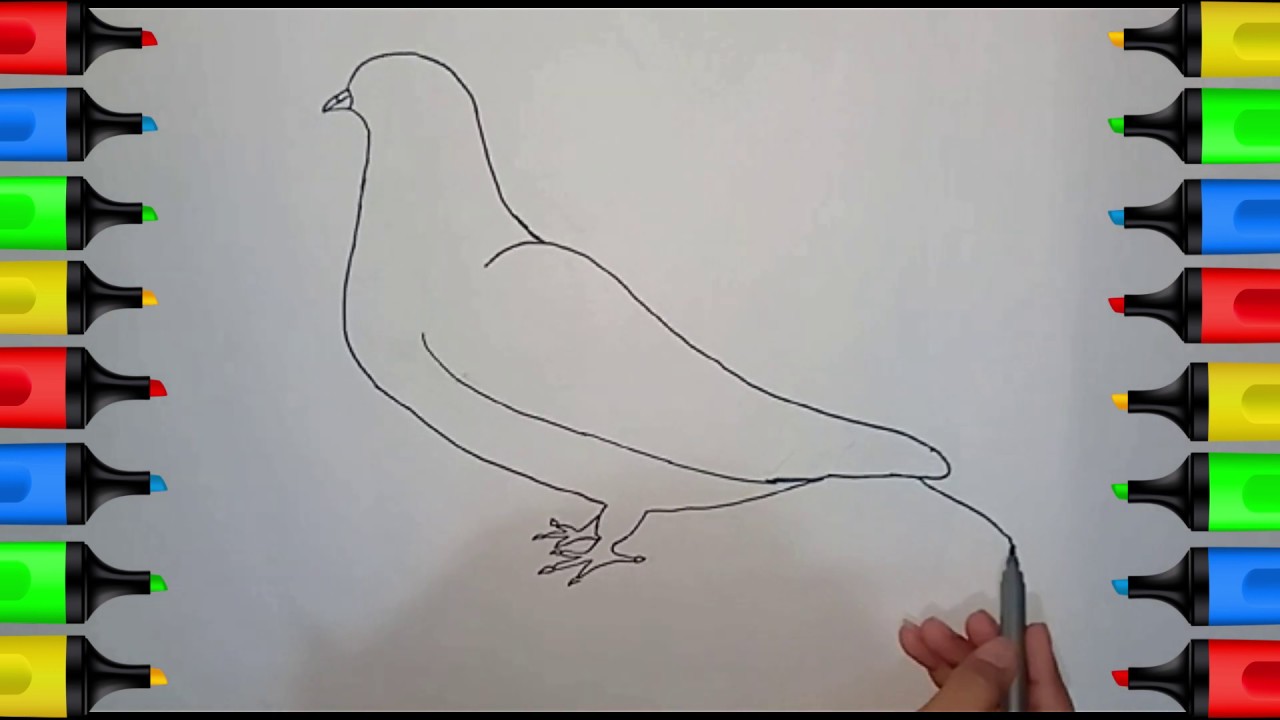 How to Draw A Pigeon Easy Step by Step for children. beginners - YouTube