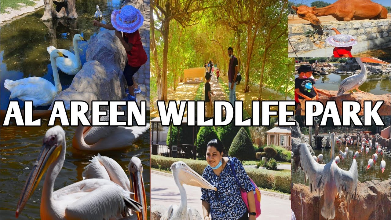Bahrain Zoo /Al Areen Wildlife Park in Bahrain/#jobysdreamworld. - YouTube