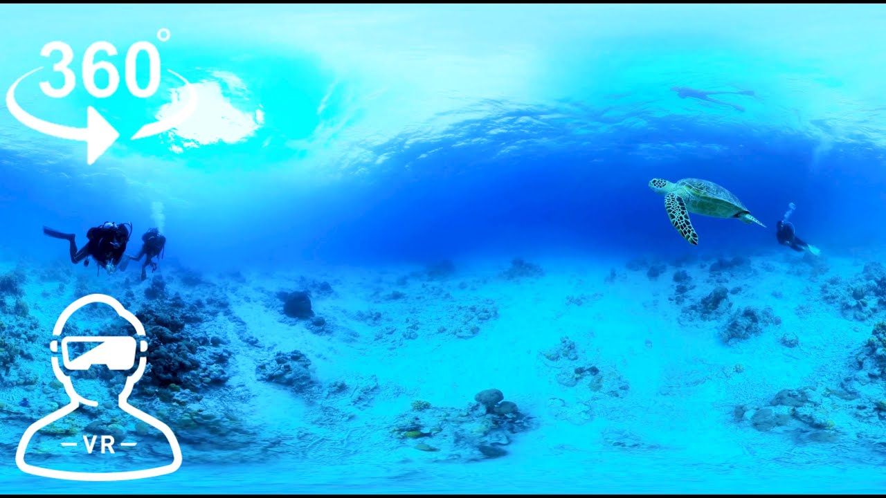 【VR】Great Barrier Reef 360 VR Video - YouTube