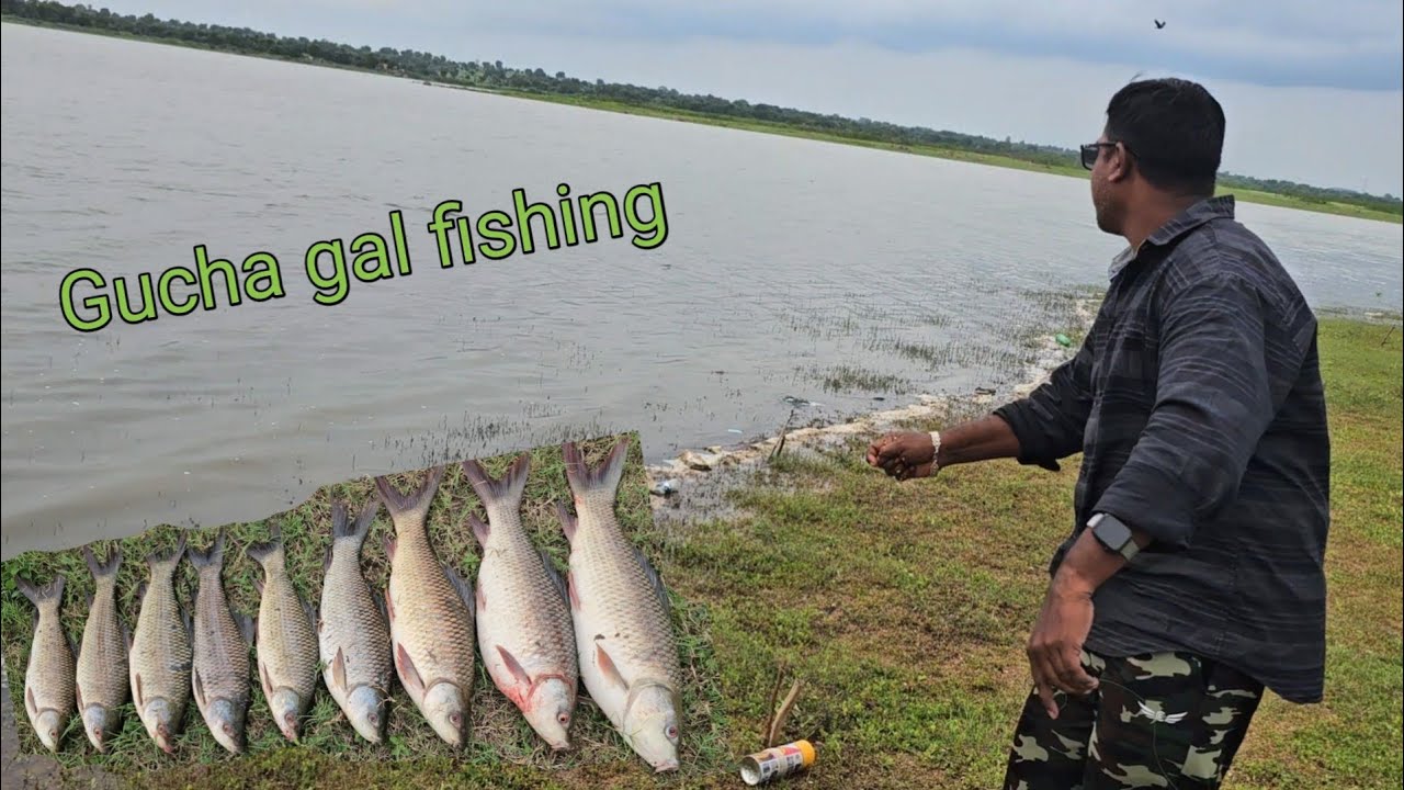 6 Hook Gucha Gal Fishing Techniques | Small Fishes Catching | Fishing ...