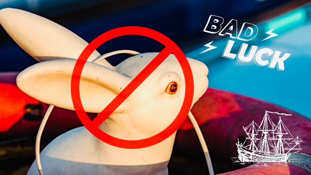Sailor Superstitions : Rabbits onboard #sailor #rabbit - YouTube