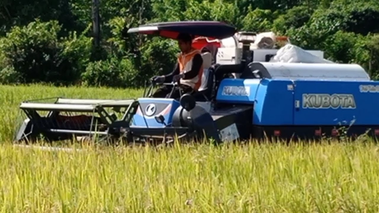 Mesin Pemotong Padi Yang Sangat Canggih - YouTube