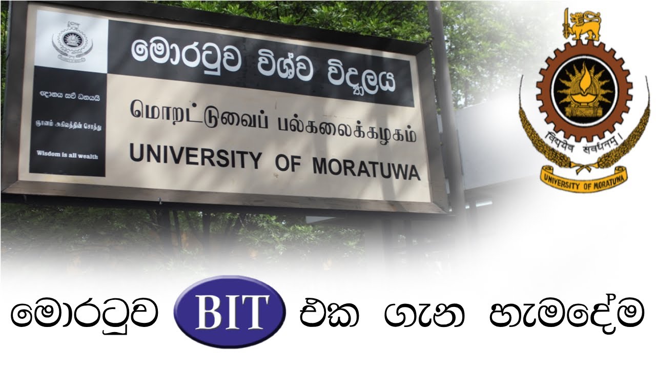 Bachelor of Information Technology(BIT) එක ගැන හැමදේම | University of ...