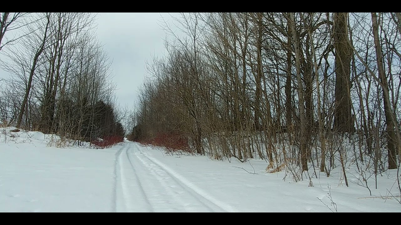 Nature Break B-Roll Video By Nevan. Winter - YouTube