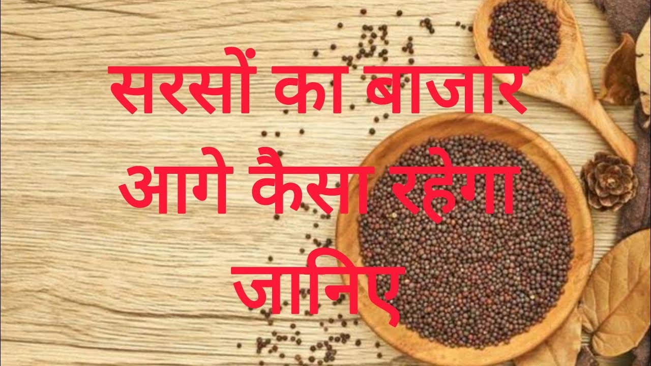सरसों का बाजार आगे कैसा रहेगा जानिए।#sarso #sarso_mandi_bhav_today # ...