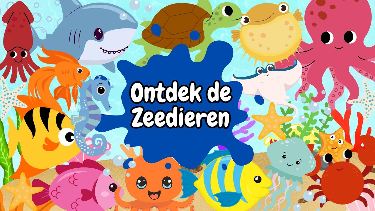 Ontdek de dieren die leven in de zee | Educatieve Video’s voor Kinderen ...