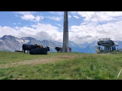 Above Morel, sounds of Alp cow bells, Switzerland