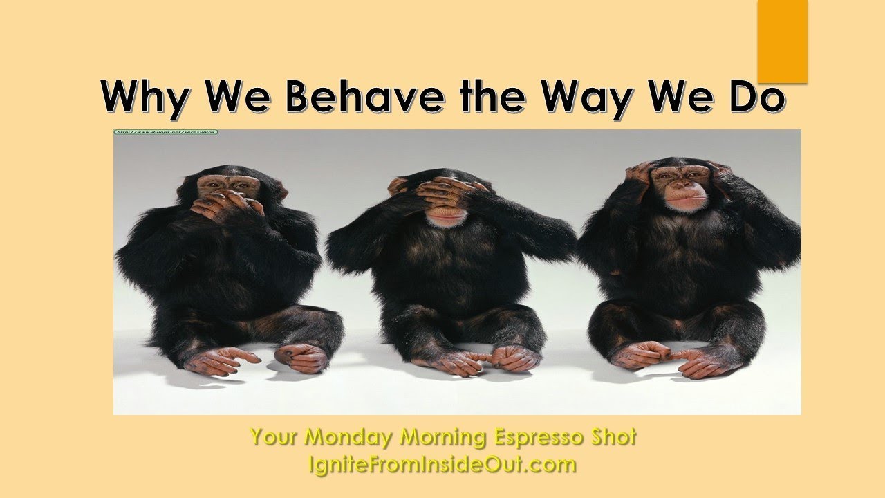 Why We Behave the Way We Behave - YouTube