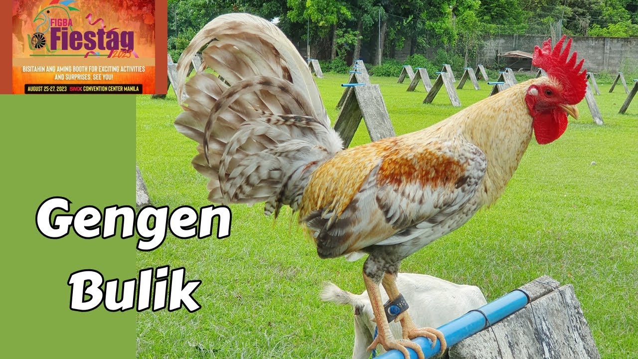 FIESTAG | Gengen Arayata | James Wolf - YouTube