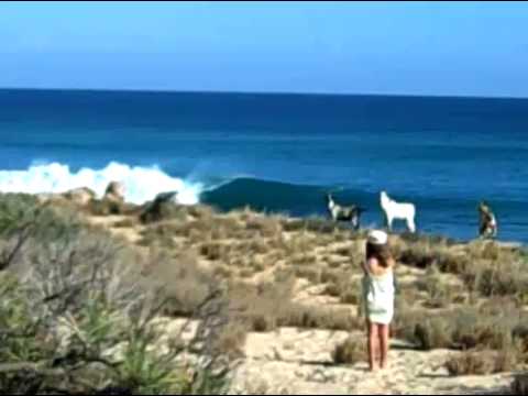Warroora wilderness - goat encounter (WA travel - Apr 19 2009) - YouTube