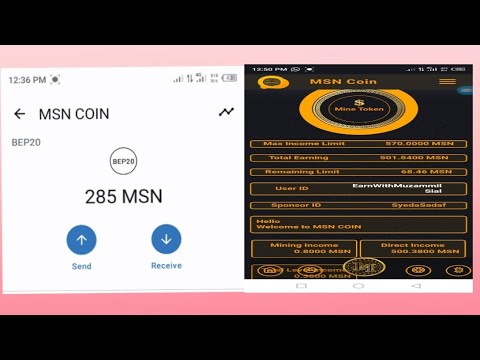 MSN COIN ko TRUST wallet me kaisy add karain & And MSN coin ka withdraw ...