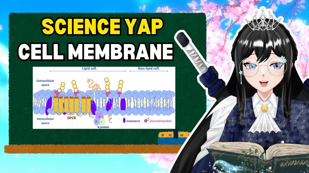 Science Vtuber podcast about the CELL MEMBRANE⚔️【Millennium】 - YouTube