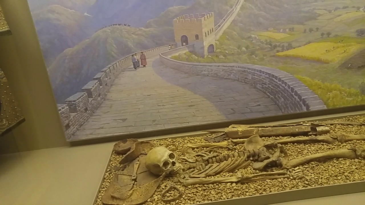 Asian section at the American Museum of Natural history in Manhattan ...