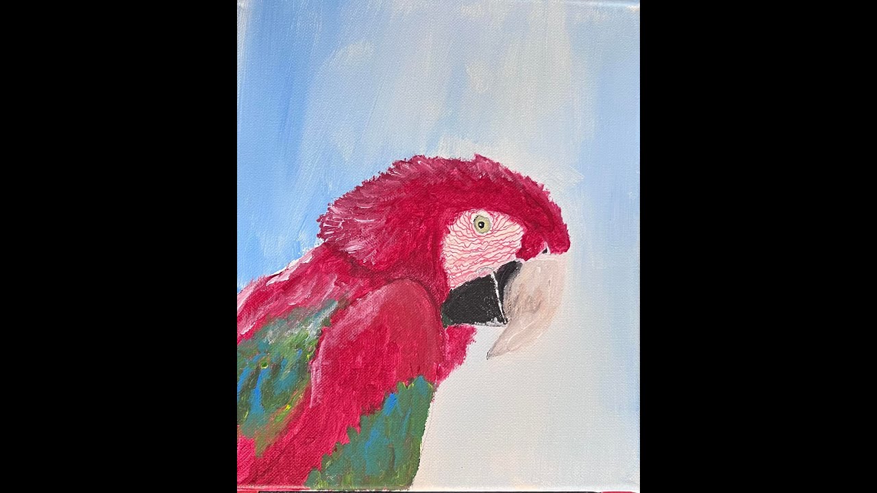 Parrot Portrait (speed run) - YouTube