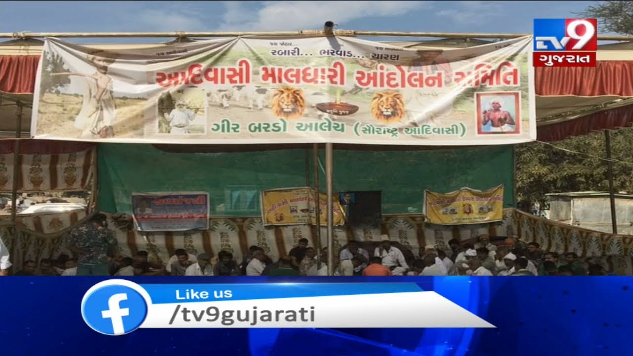 Gandhinagar Tribal Protest Against Fake Tribe Certificate Enters Day gandhinagar-tribal-protest-against-fake-tribe-certificate-enters-day
