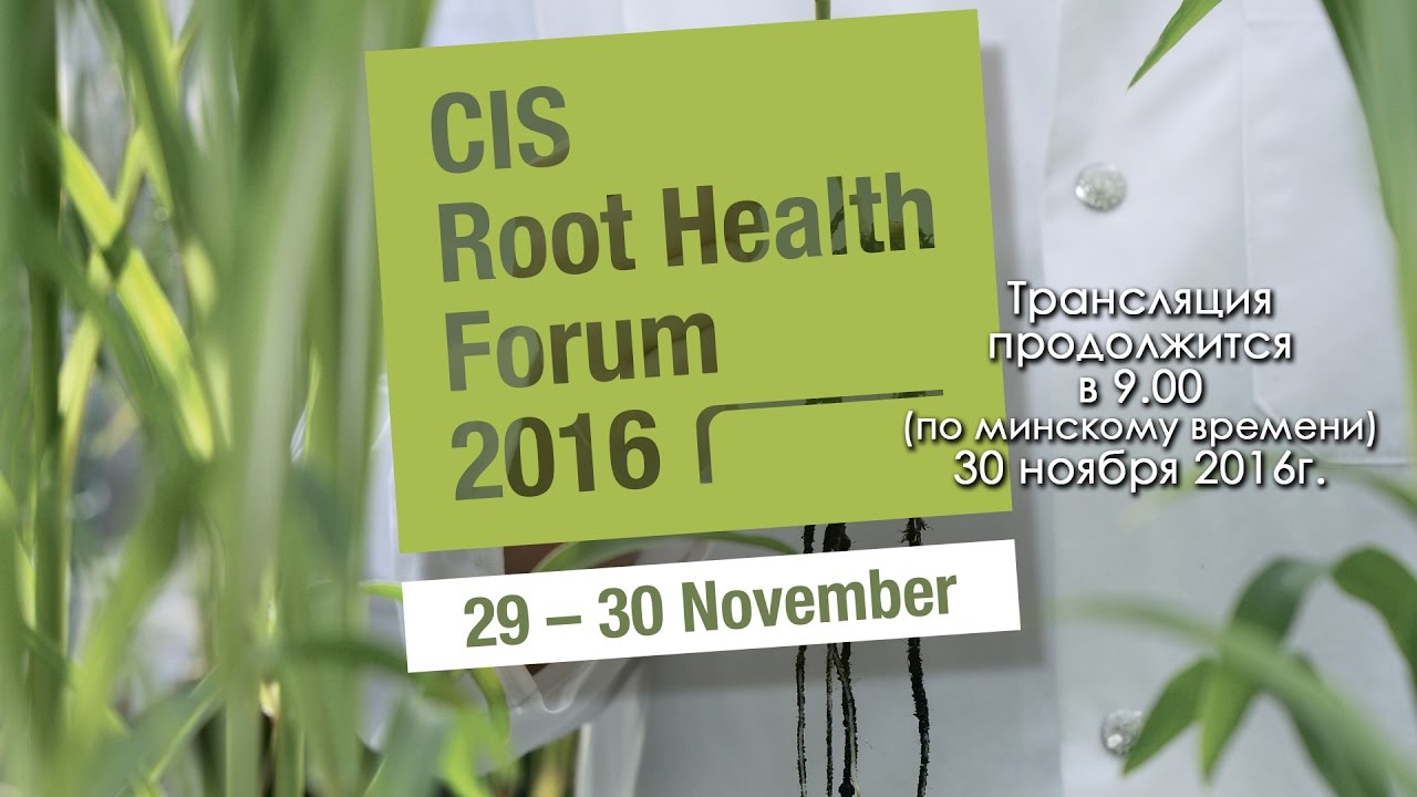 CIS Root Health Forum 2016 Minsk (1 день)- 29.11.2016г. - YouTube