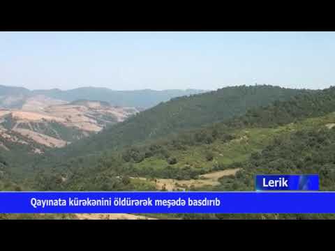 Lerikde qayinata kurekenini oldurub.24.07.2020