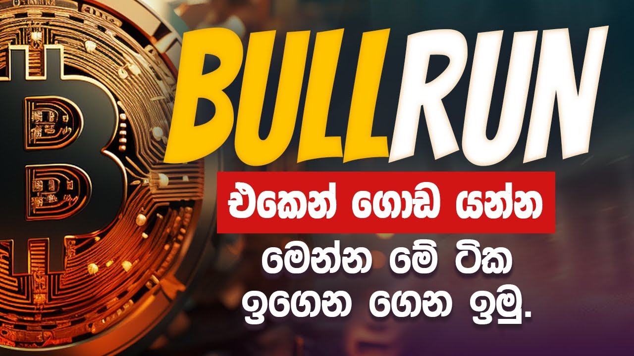 Bull Run එකෙන් ගොඩ යන්න මේ ටික ඉගෙන ගමු.. - YouTube