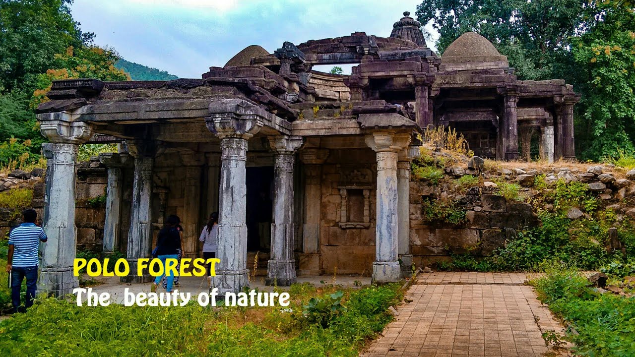 Polo Forest - The Beauty of Nature | Picnic Point Vijaynagar, Gujarat ...