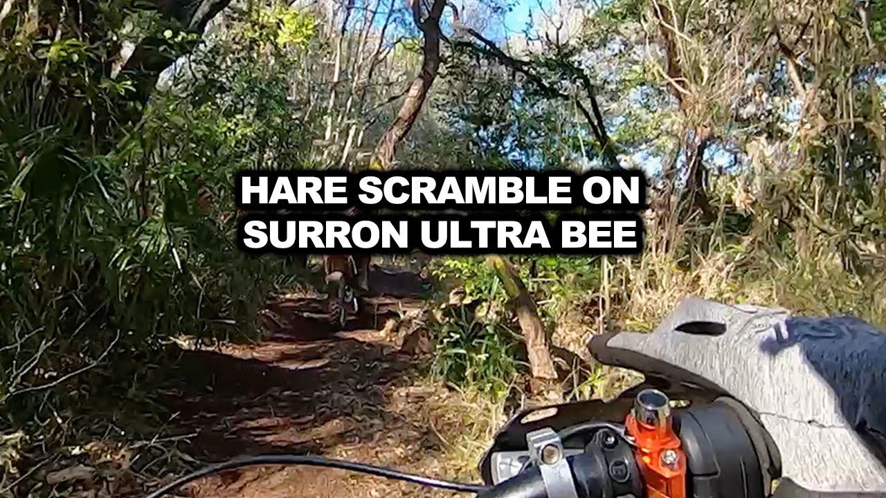 Ultra Bee Hare Scramble - YouTube