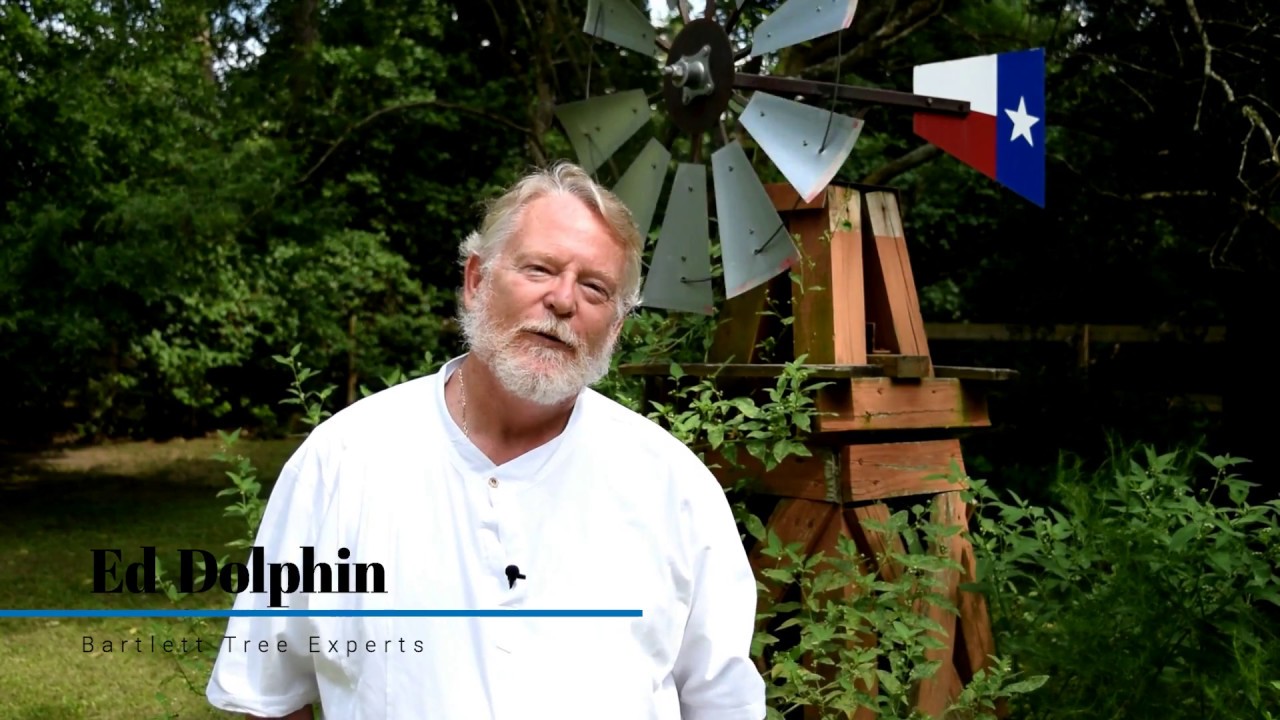 Ed Dolphin Video - YouTube