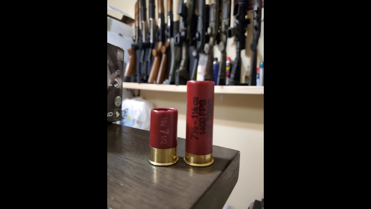 12 Gauge MINI SHELLS and unreliable shotguns!! - YouTube