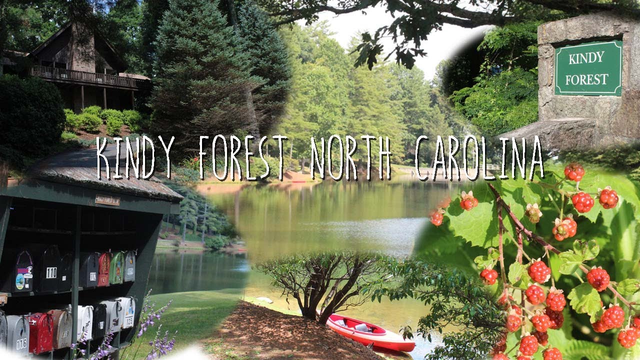 Kindy Forest - North Carolina - YouTube