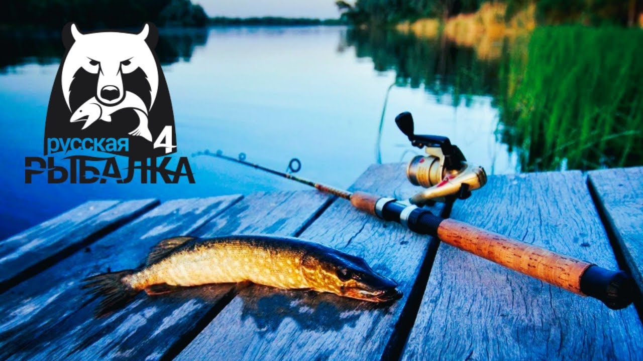 Русская Рыбалка 4 🌊🐳🌊 Russian Fishing 4 - YouTube