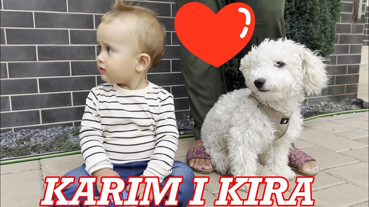 Reakcja Karima na Psa - Karim i Kira! - YouTube