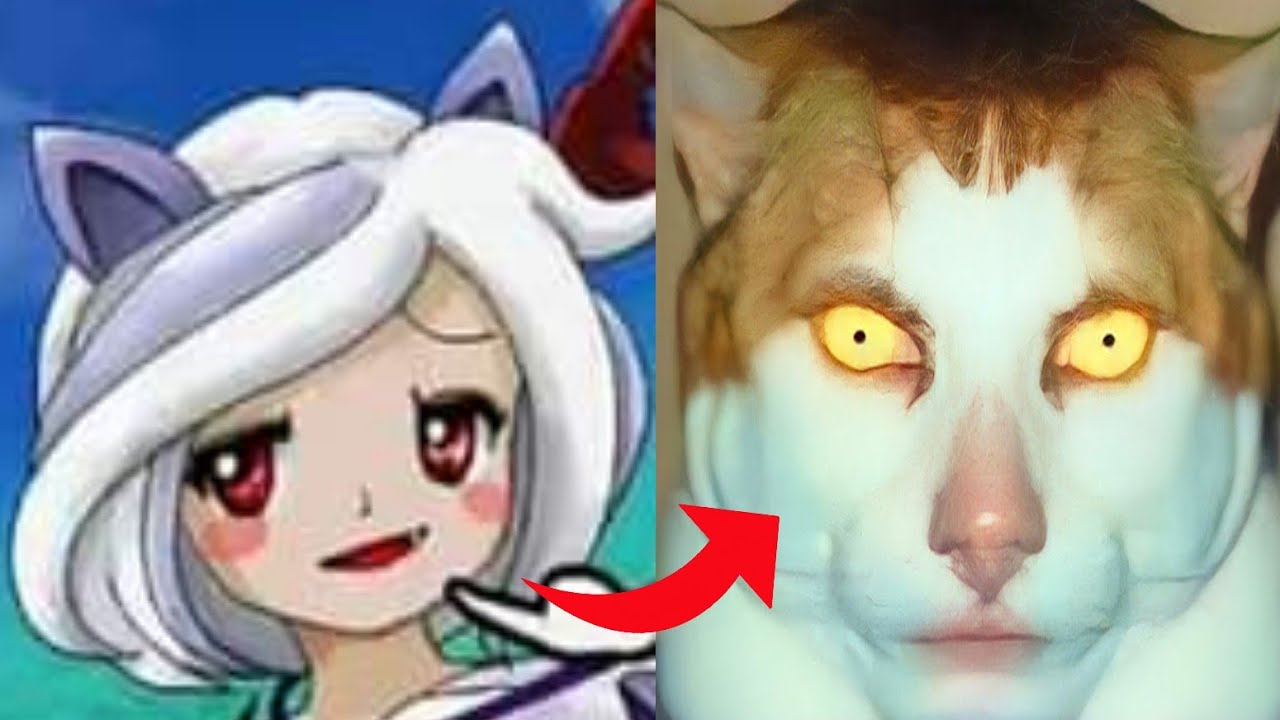 Touhou 19 Girl's References - YouTube