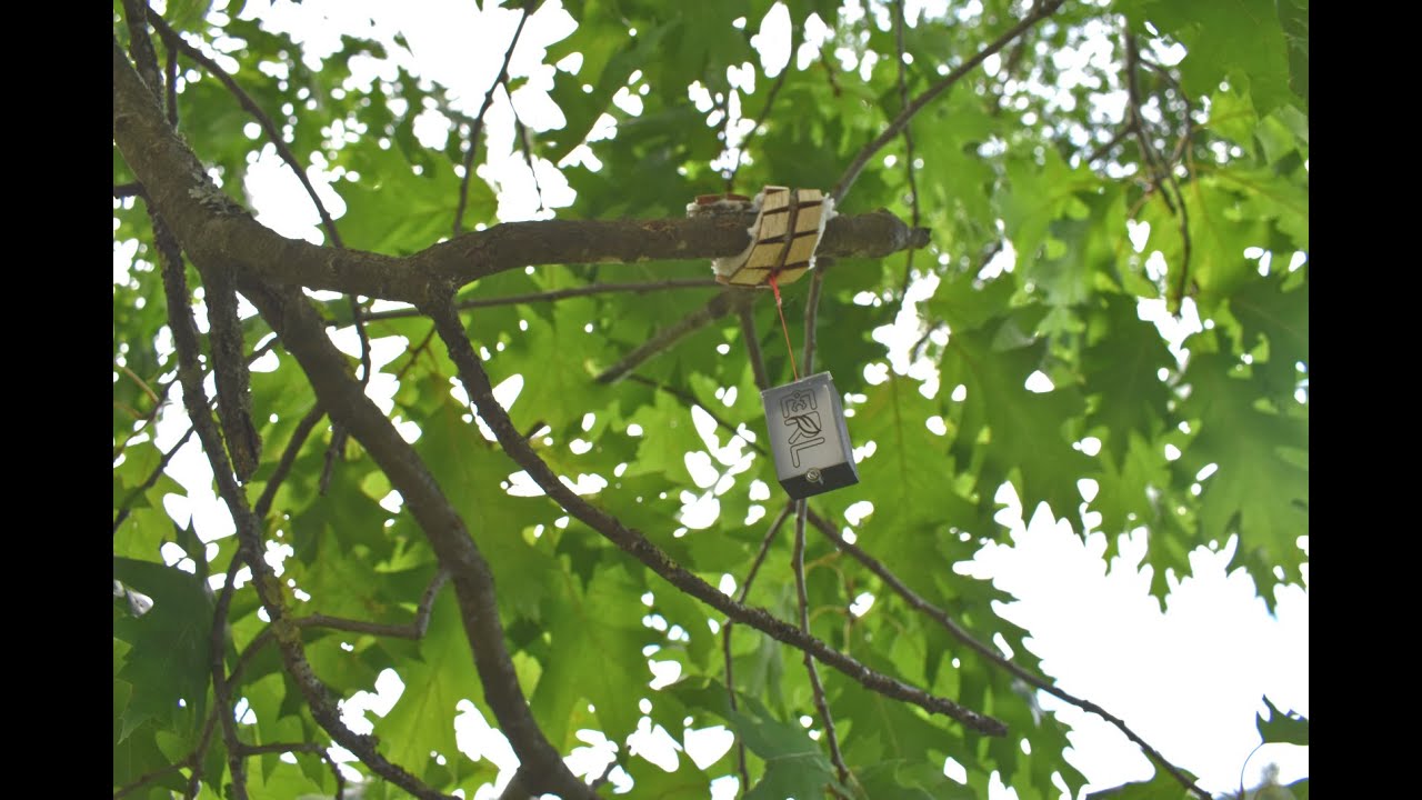 2023 ICRA: Biodegradable Origami Gripper for Aerial Sensor Attachment ...
