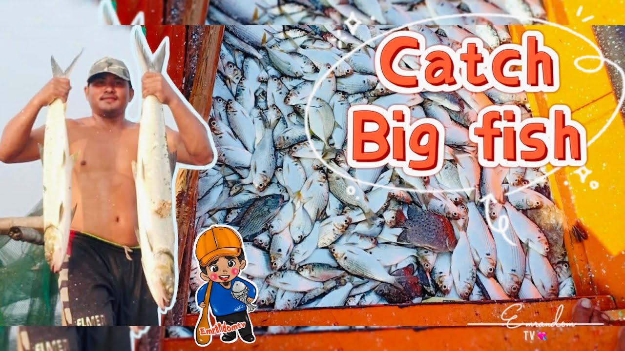 FISH TRAP OR BAKLAD || CATCH BIG LADYFISH - YouTube