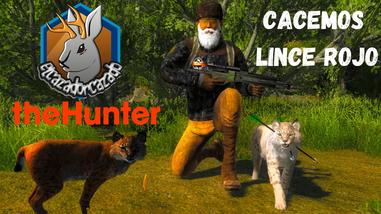 Caza Del Lince Canadiense La Población De Lince Ibérico Ronda Ya Los