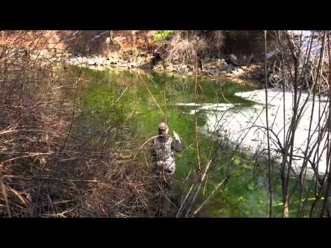 Fly Fishing the Swift River March 2011 - YouTube
