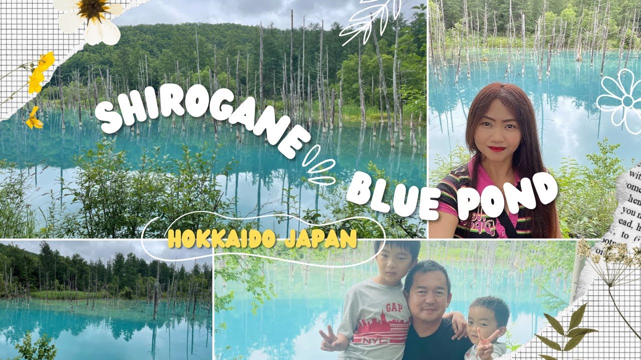 Shirogane blue pond | Hokkaido | Japan | Beautiful | Amazing #travel ...