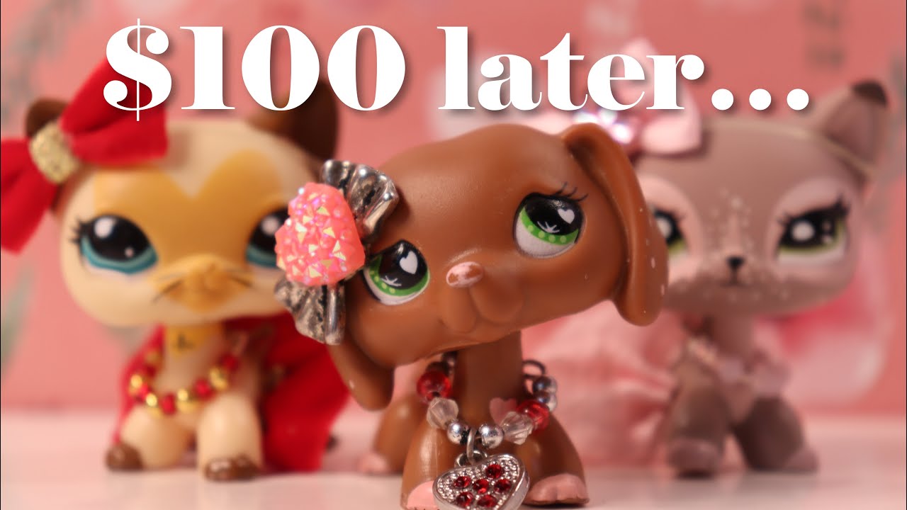 I Spent $100 on Lps Clothes?!?! - YouTube