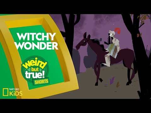 Witchy Wonder | Weird But True! Shorts