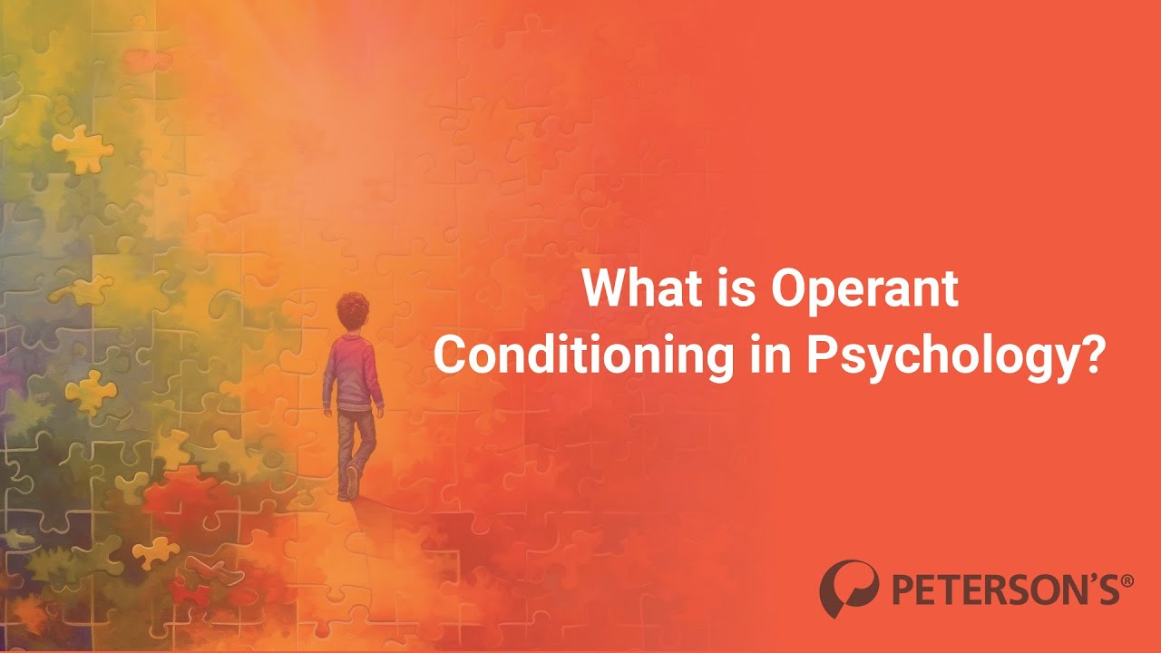 In About a Minute: What is Operant Conditioning in Psychology? - YouTube
