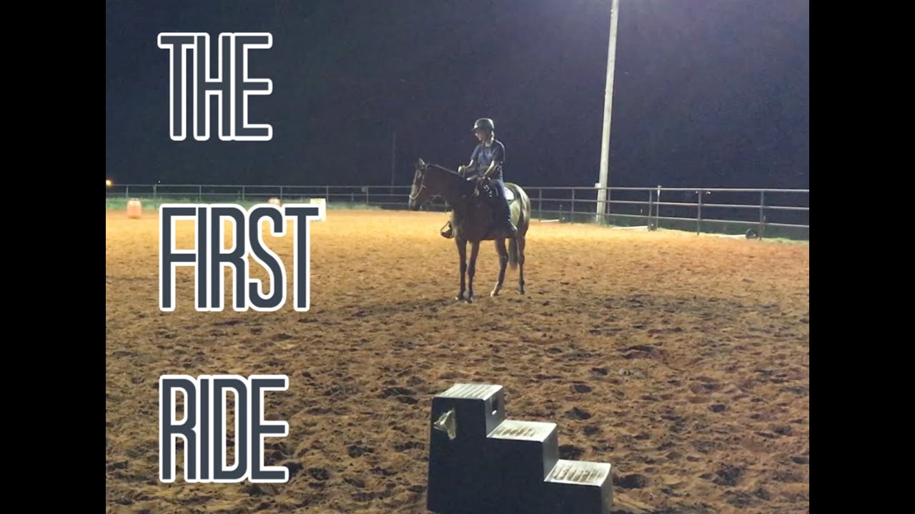 The First Ride on a Young Horse - YouTube