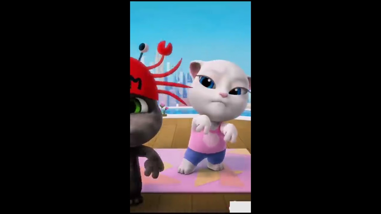 tik tok mèo tom - YouTube