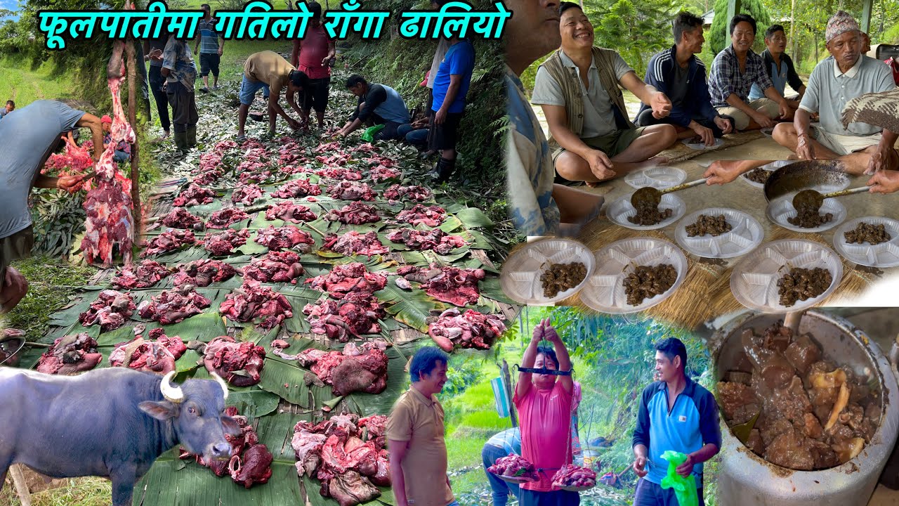 216KG BEST BUFFALO CUTTING STYLE IN NEPAL | BUFFALO CUTTING & DIVIDING ...