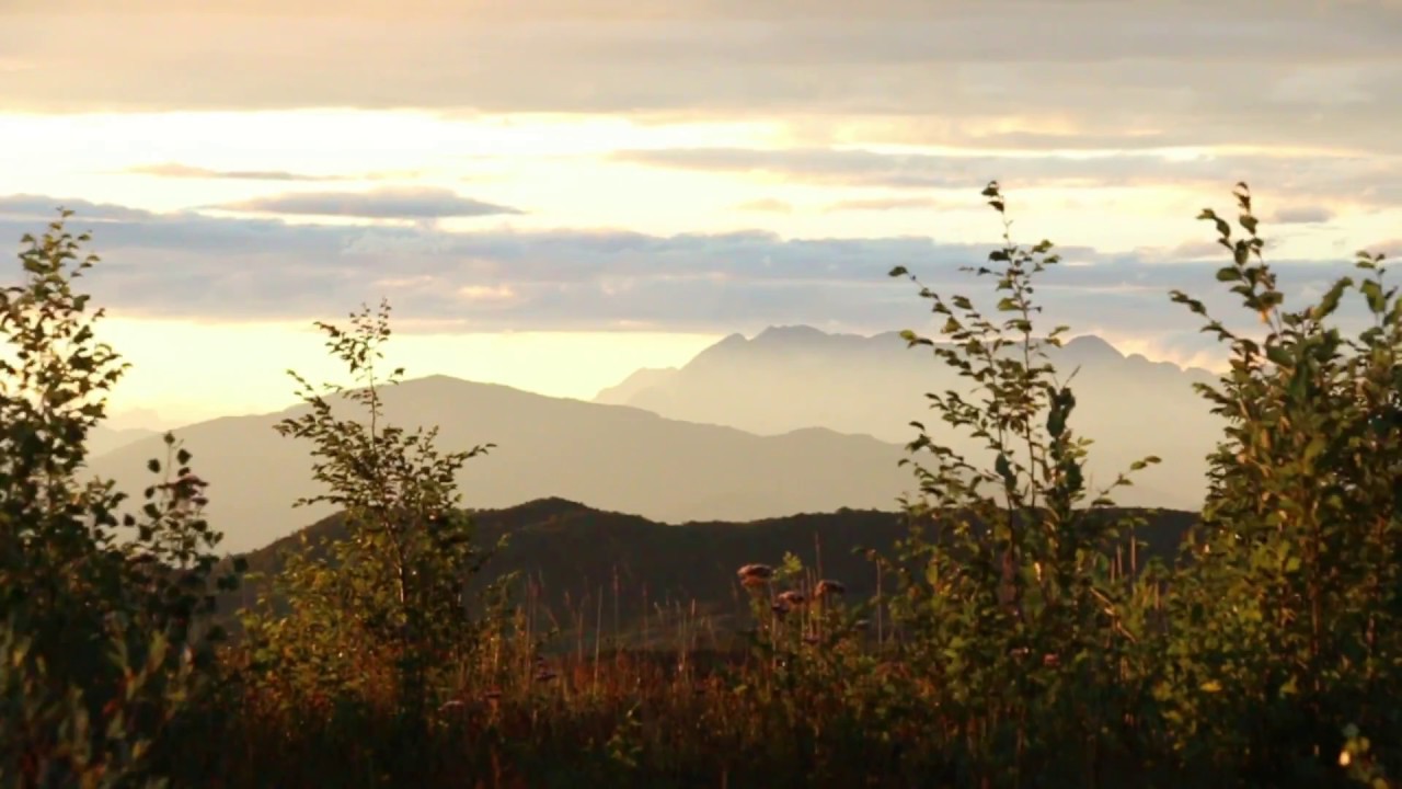 1 Hour of Calm and Relaxing Wind Sounds for Sleep, Stress Relief, Study ...