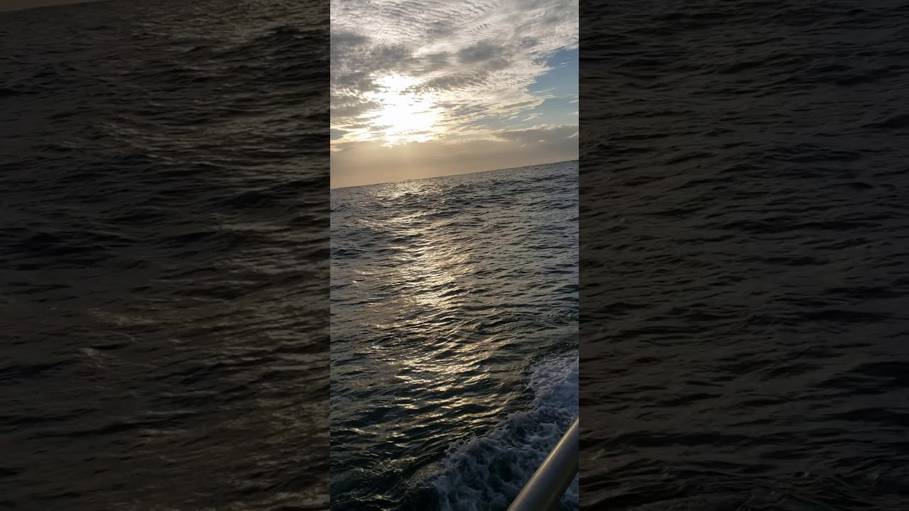 carolina princess fishing trip - YouTube