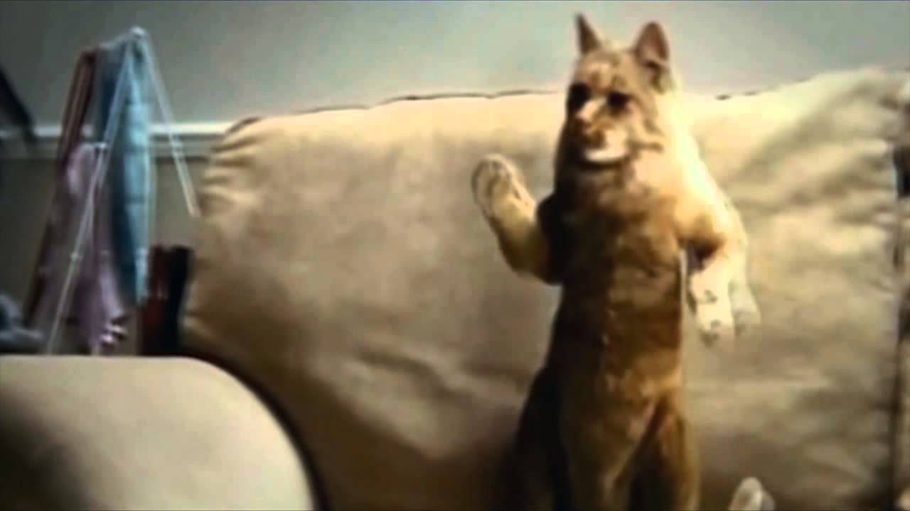 HomeShop18 - Makes Me Happy - YouTube