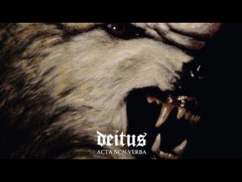 Acta Non verba - Deitus - album review - YouTube
